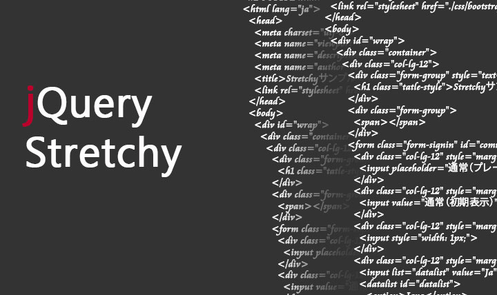 jQueryライブラリのStretchyを使用して、入力ボックスが伸び縮みするフォームを作成 | 株式会社AMG Solution