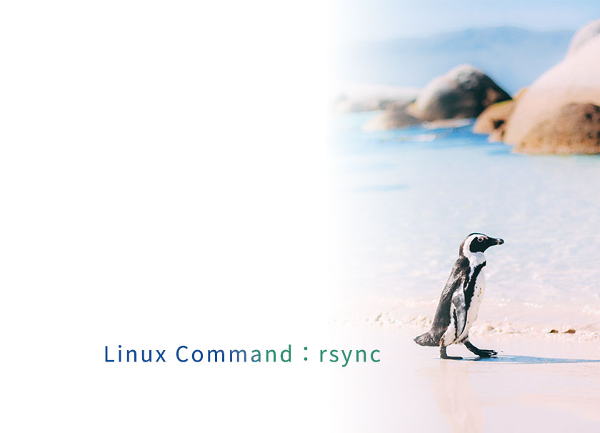 【Linuxコマンド：rsync】対象ディレクトリ以外をコピーする方法 | 株式会社AMG Solution